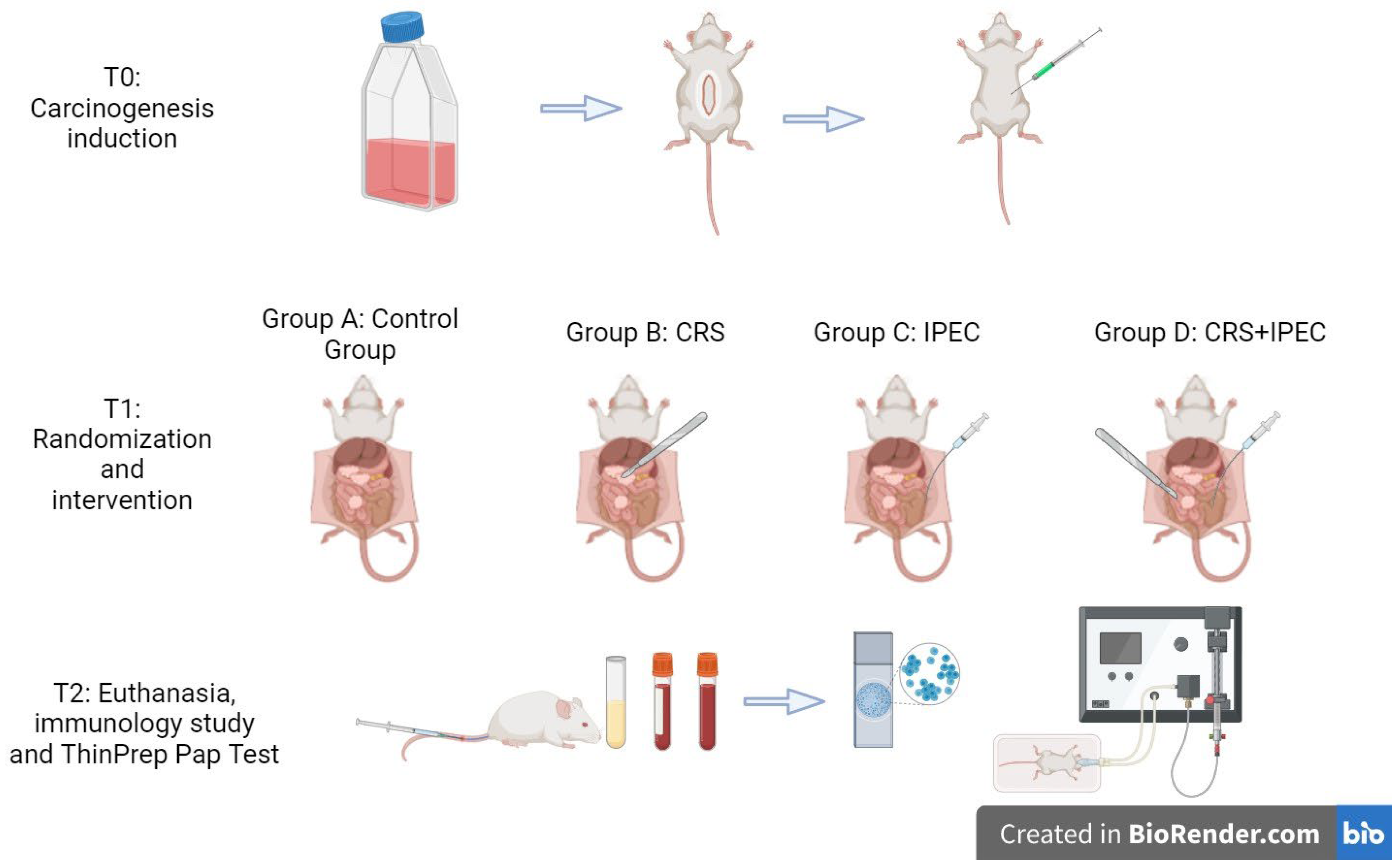 JCM | Free Full-Text | Effect of Intraperitoneal Chemotherapy with ...