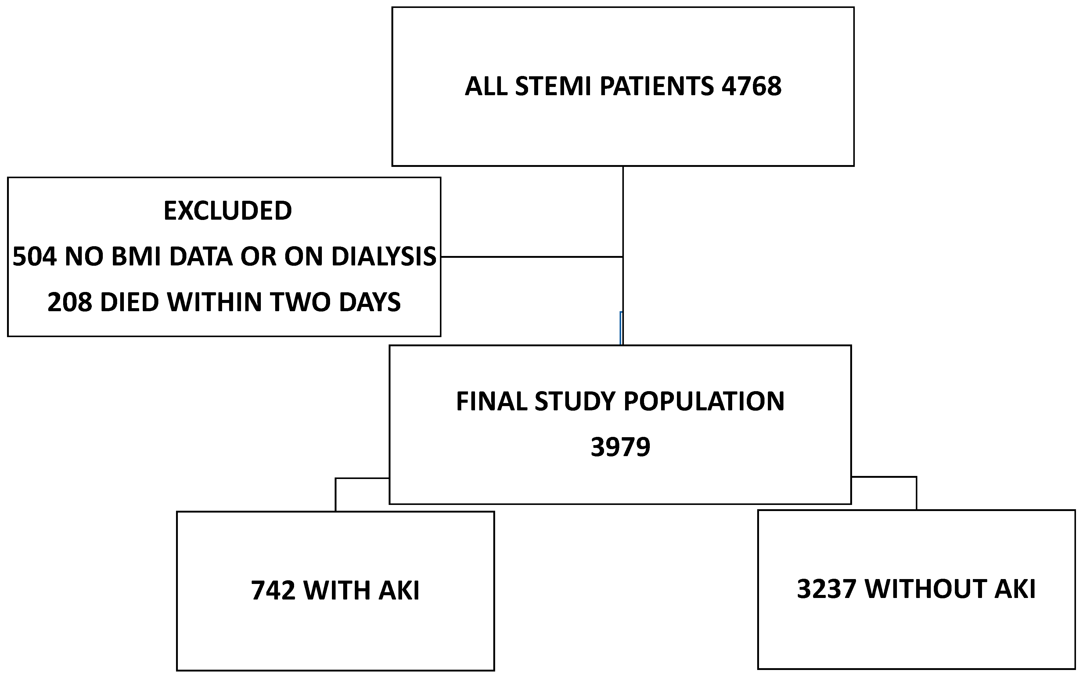 Obesity and Acute Kidney Injury in Patients with ST-Elevation Myocardial Infarction