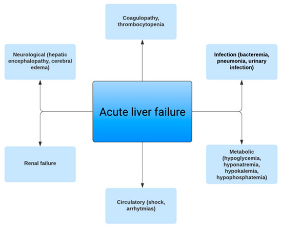 A Comprehensive Review of the Diagnosis and Management of Acute Liver ...