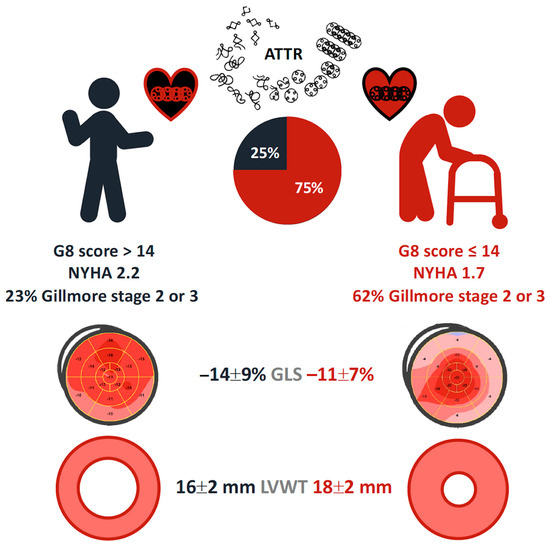 Frailty in Older Patients with Transthyretin Cardiac Amyloidosis