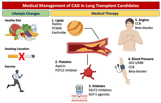 The Evaluation and Management of Coronary Artery Disease in the Lung ...