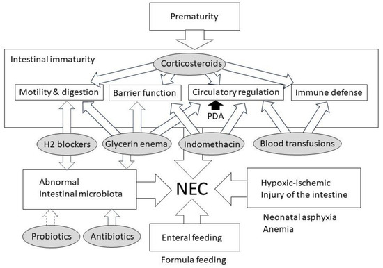 Clinical Dilemma Involving Treatments for Very Low-Birth-Weight Infants ...