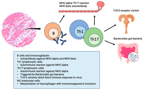Myocarditis and Chronic Inflammatory Cardiomyopathy, from Acute ...