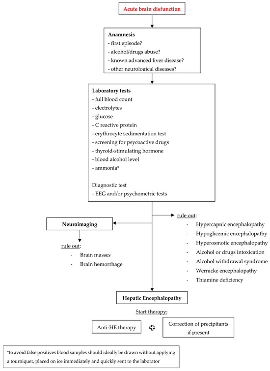 JCM | Free Full-Text | The Management of Hepatic Encephalopathy from ...