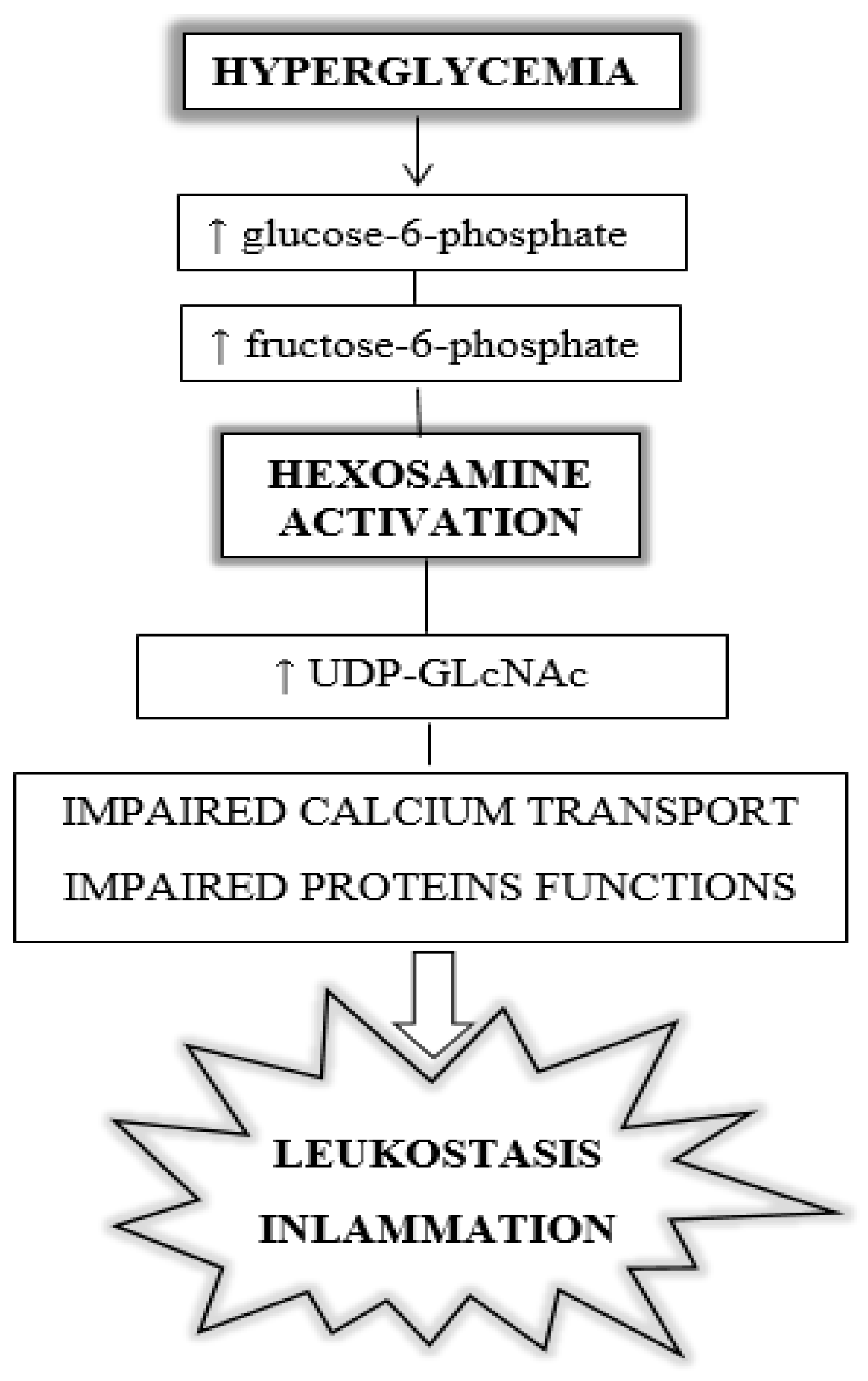 Relationship between Biochemical Pathways and Non-Coding RNAs Involved ...