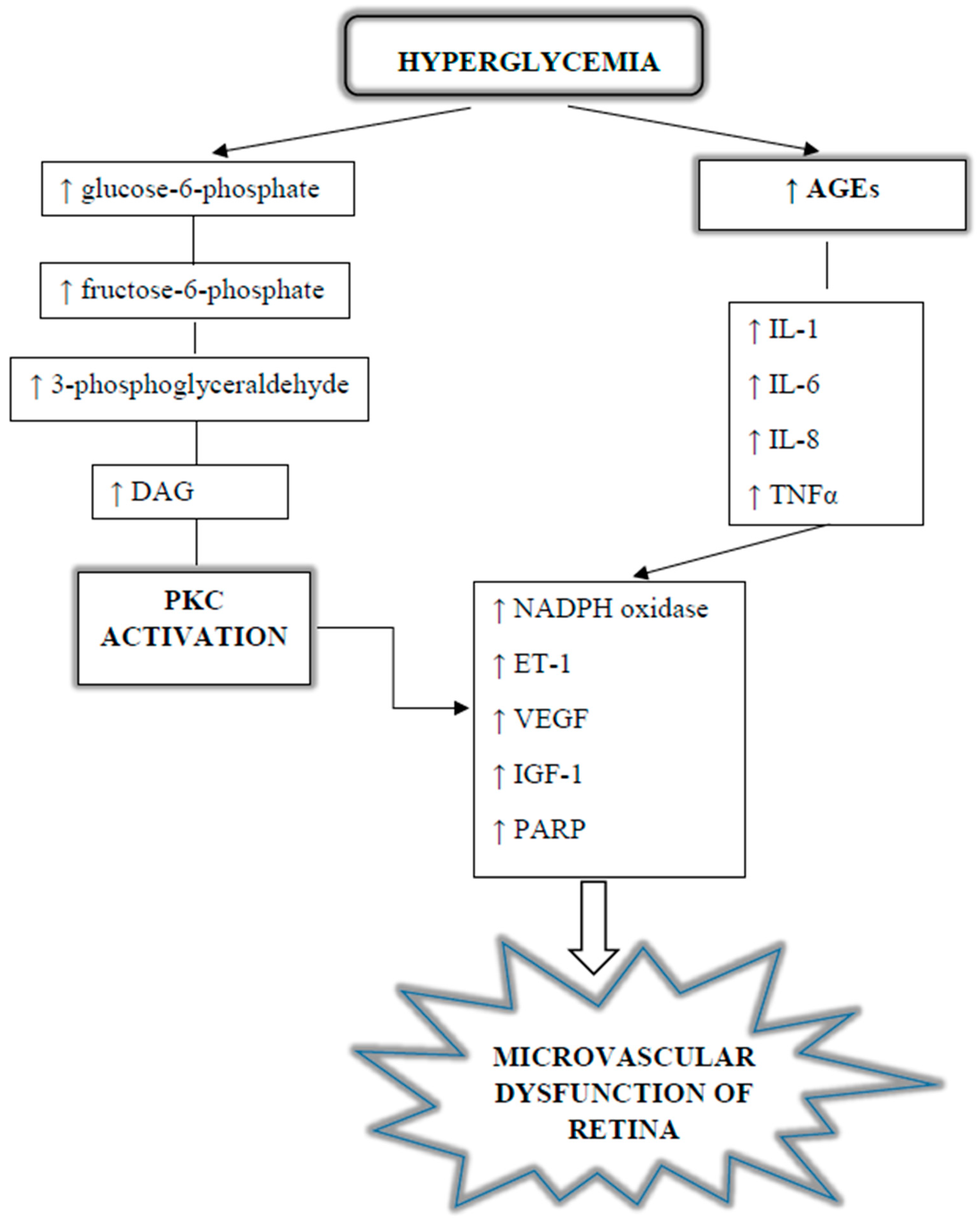 Relationship between Biochemical Pathways and Non-Coding RNAs Involved ...