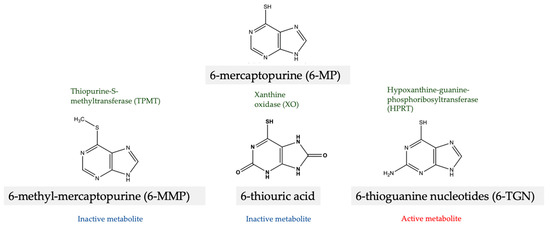 Therapeutic Drug Monitoring in Patients with Systemic Lupus ...