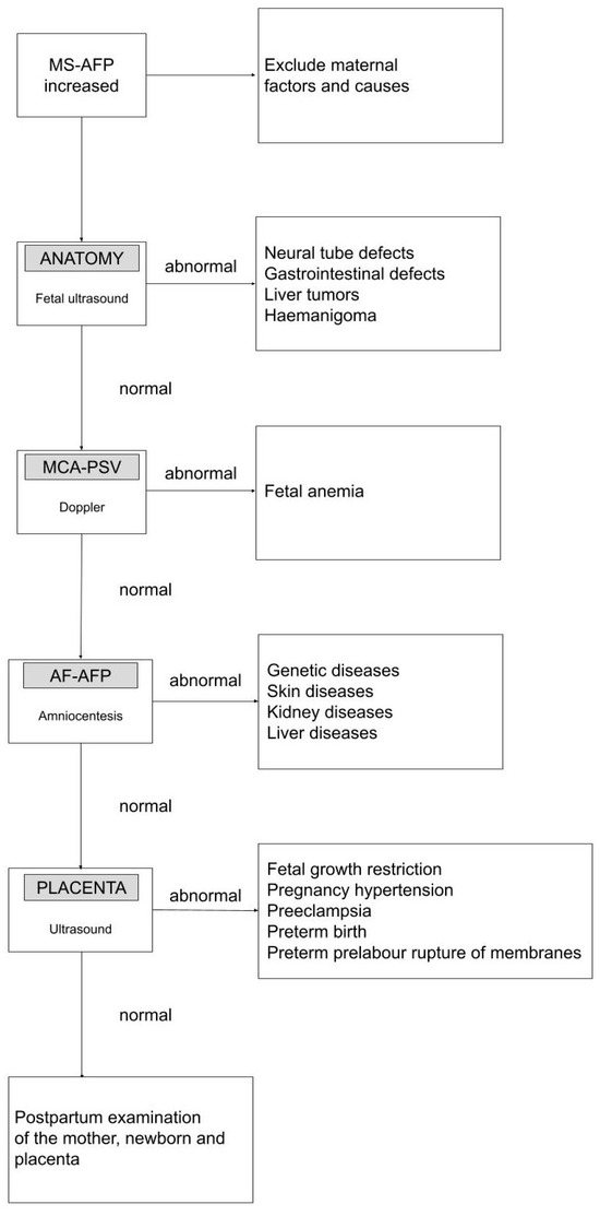 Fetal and Placental Causes of Elevated Serum Alpha-Fetoprotein Levels ...