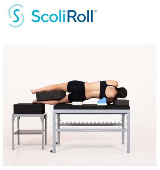 The Improvement of Trunk Muscle Endurance in Adolescents with ...