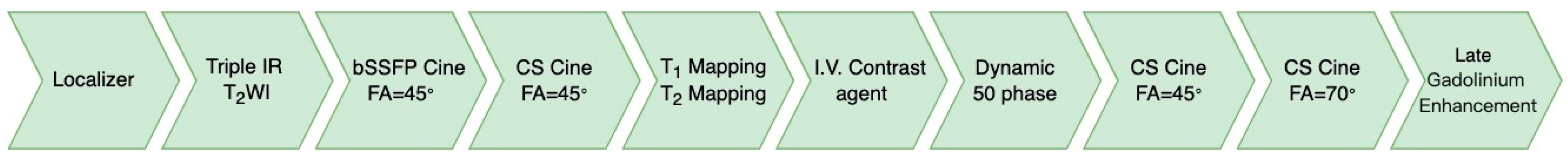 Optimizing Clinical Cardiac MRI Workflow through Single Breath-Hold Compressed Sensing Cine: An ...