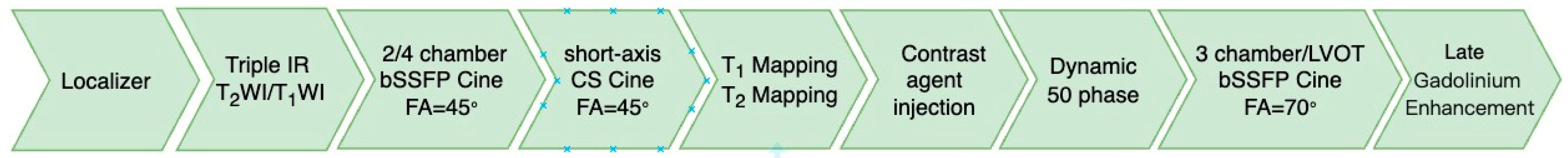Optimizing Clinical Cardiac MRI Workflow through Single Breath-Hold Compressed Sensing Cine: An ...