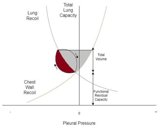 Critical Care Management of Severe Asthma Exacerbations