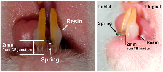 Potential Application of Non-Invasive Optical Imaging Methods in ...