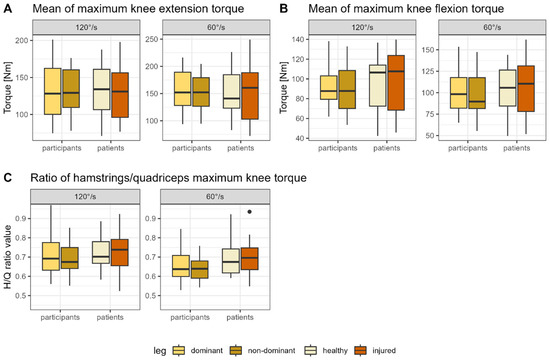 Testing the Posterior Chain: Diagnostic Accuracy of the Bunkie Test ...