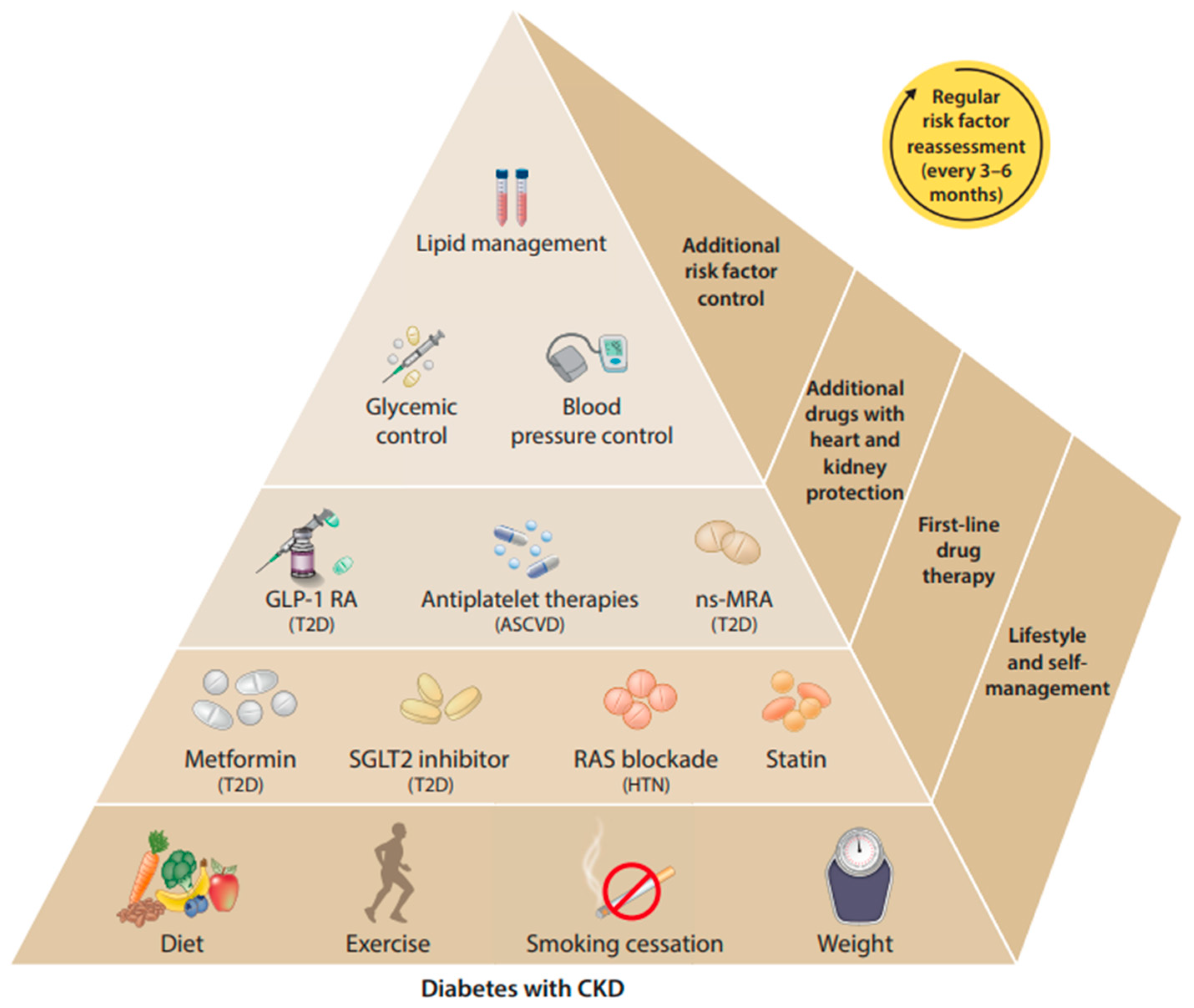 Optimizing Care Delivery in Patients with Chronic Kidney Disease in the ...