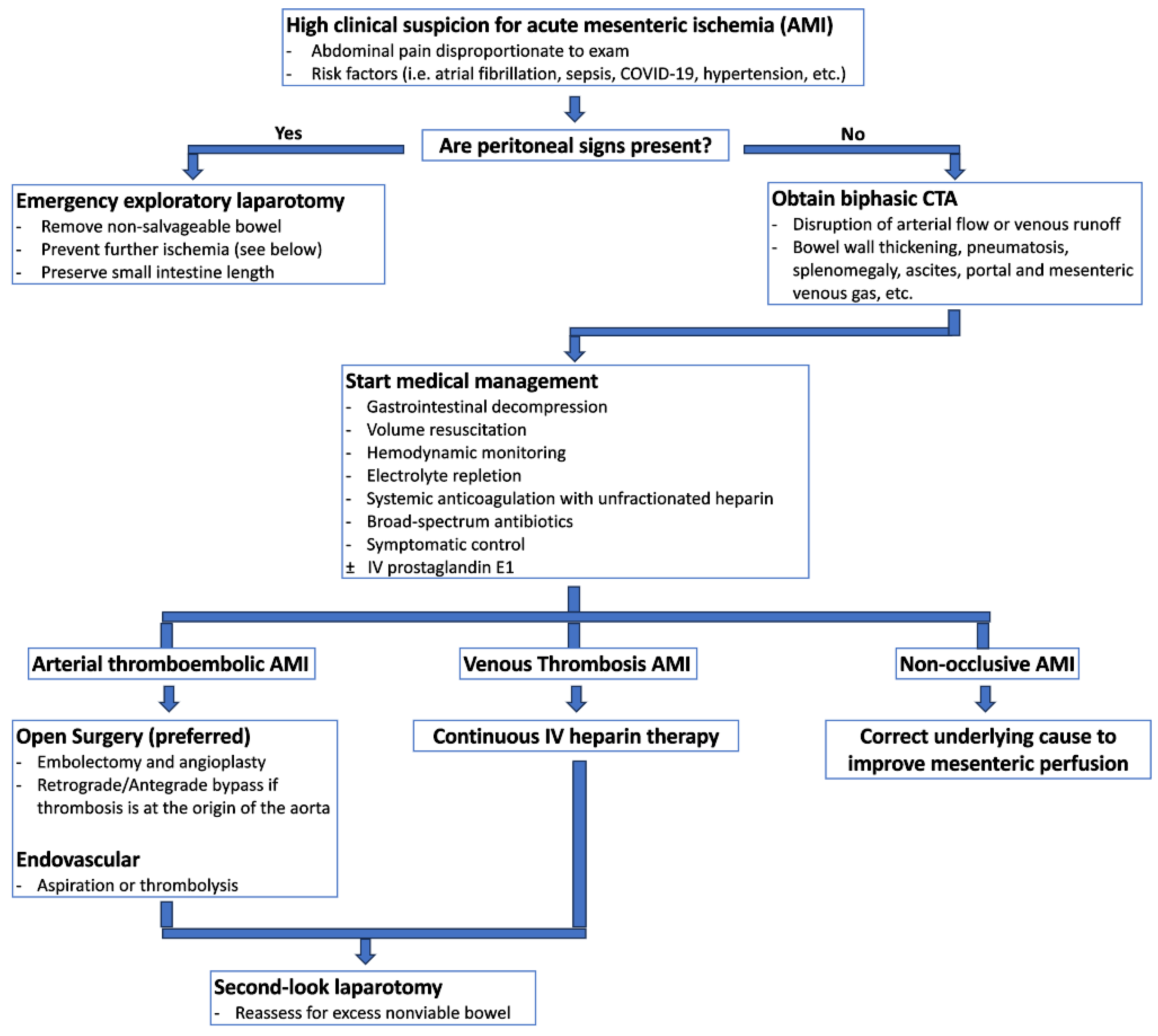 JCM | Free Full-Text | Revascularization Strategies for Acute and ...