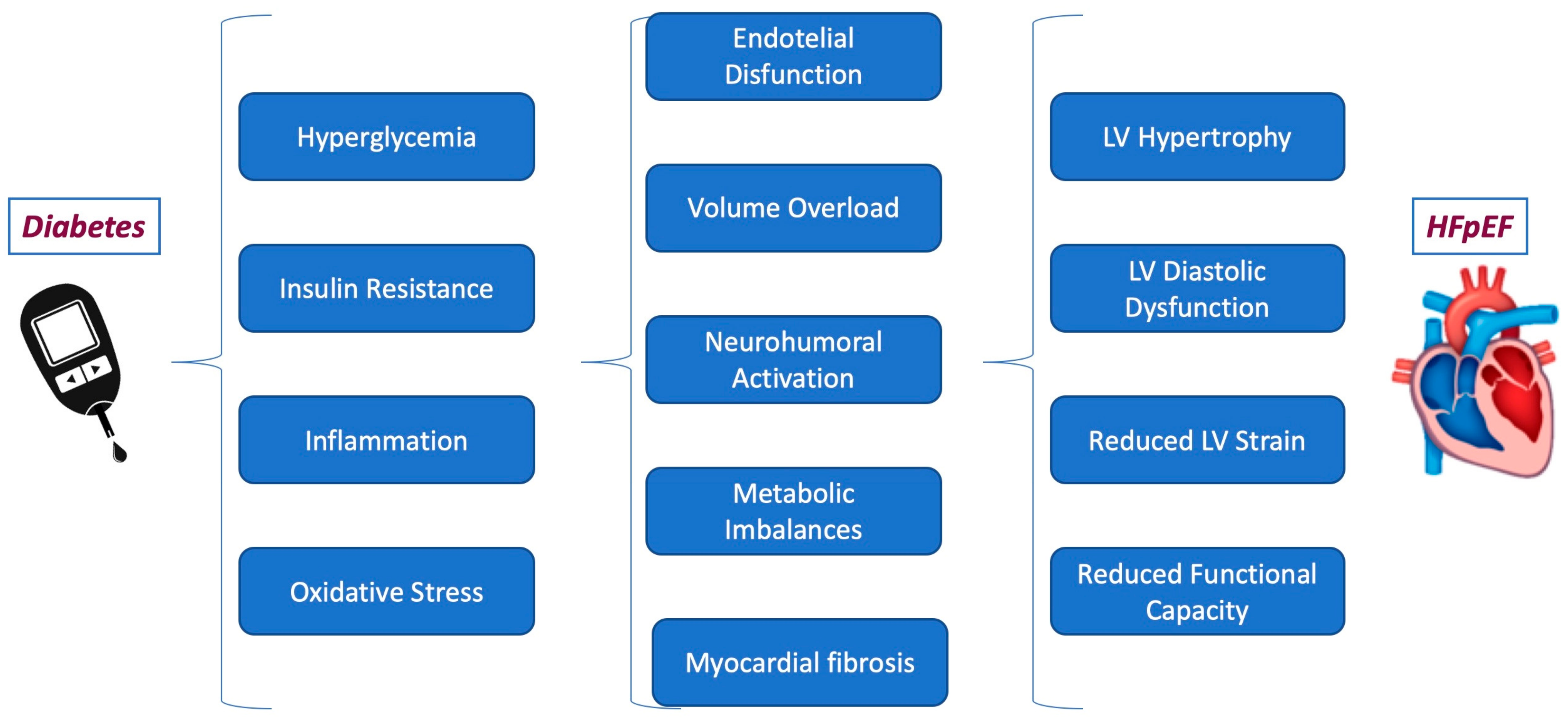 Heart Failure with Preserved Ejection Fraction: How to Deal with This ...