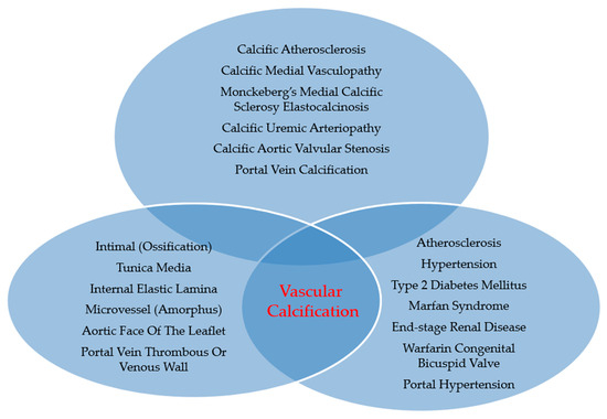 Mechanisms of Cardiovascular Calcification and Experimental Models ...