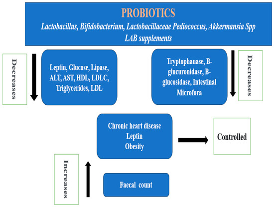 Unraveling the Puzzle: Health Benefits of Probiotics—A Comprehensive Review