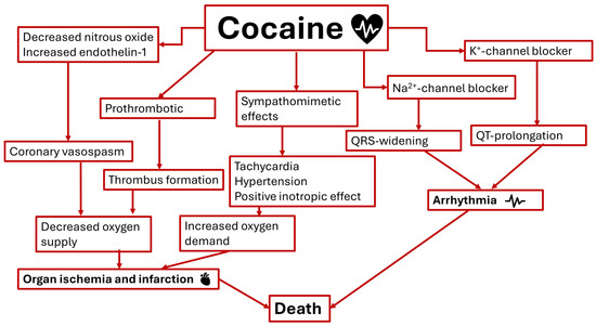 JCM | Free Full-Text | Cardiovascular Risks of Simultaneous Use of Alcohol and Cocaine—A ...
