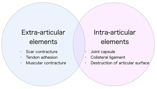 Management of Scar Contractures of the Hand—Our Therapeutic Strategy ...