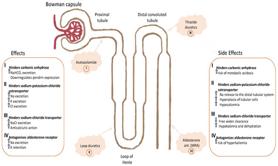 JCM | Free Full-Text | The Changing Role of Loop Diuretics in Heart ...
