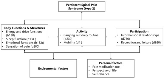 Clinical Patient-Relevant Outcome Domains for Persistent Spinal Pain ...