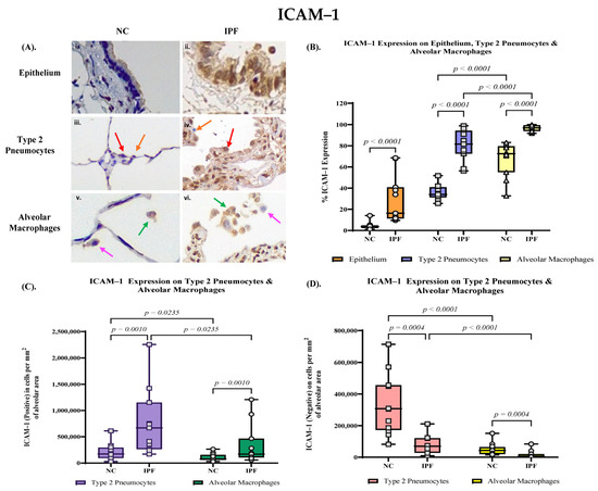 Platelet Activating Factor Receptor and Intercellular Adhesion Molecule ...
