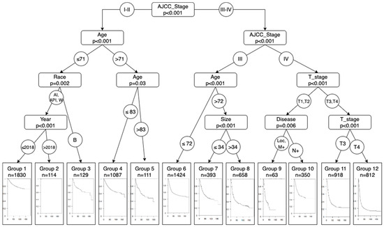 A Novel Decision Tree Model for Predicting the Cancer-Specific Survival ...