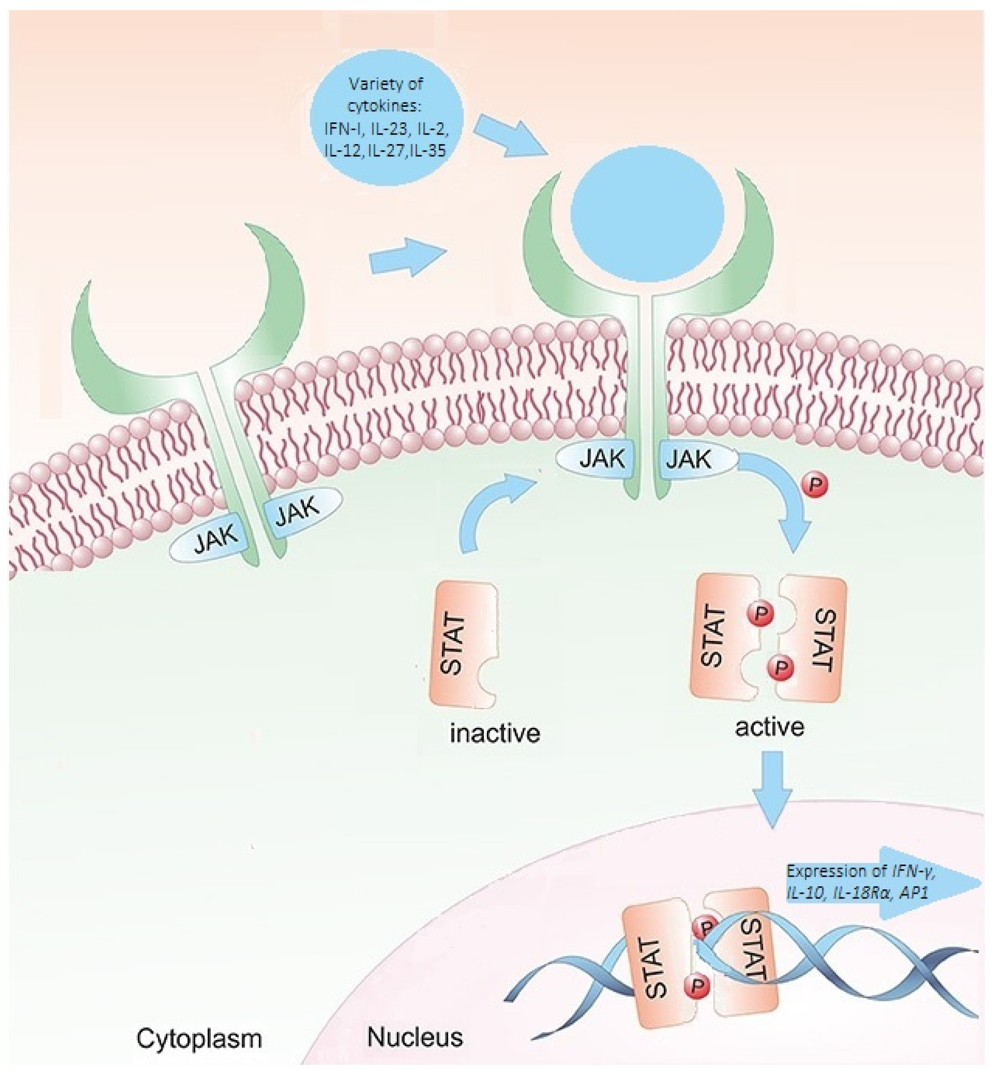 Influence of STAT4 Genetic Variants and Serum Levels on Multiple ...