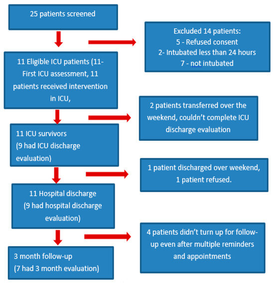 Feasibility of Combining Functional Mobilisation with Resistance and ...