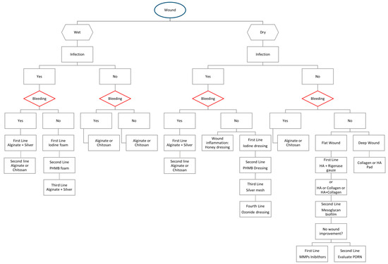 Bioactive Dressing: A New Algorithm in Wound Healing