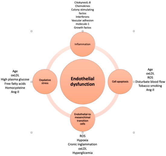 Endothelial Dysfunction in Heart Failure: What Is Its Role?