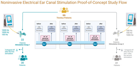 Electrical Ear Canal Stimulation as a Therapeutic Approach for Tinnitus ...