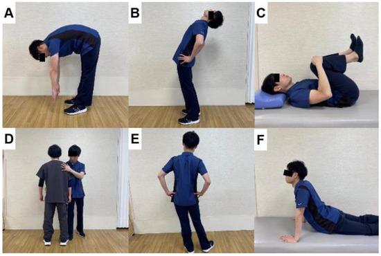 Evaluation and Rehabilitation after Adult Lumbar Spine Surgery