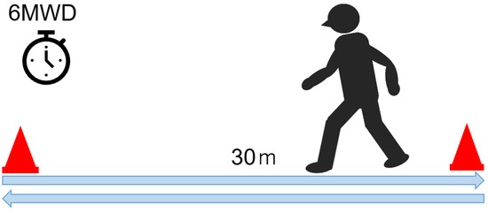 Evaluation and Rehabilitation after Adult Lumbar Spine Surgery