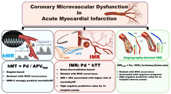 Treatment and Care of Patients with ST-Segment Elevation Myocardial ...