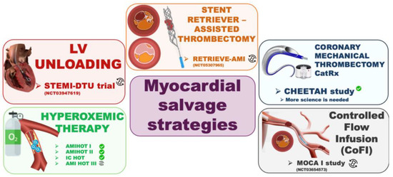 Treatment and Care of Patients with ST-Segment Elevation Myocardial Infarction—What Challenges ...