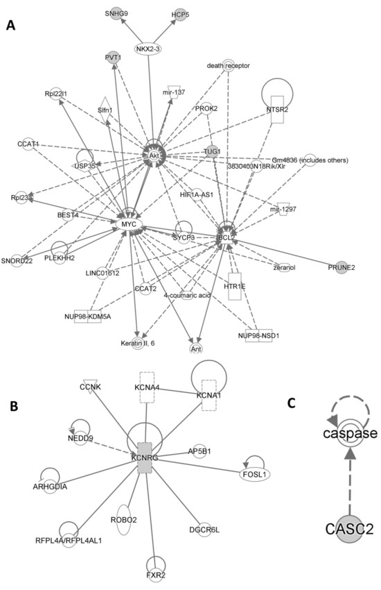 Deregulated Long Non-Coding RNAs (lncRNA) as Promising Biomarkers in ...