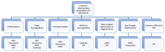 Depression and Eye Disease—A Narrative Review of Common Underlying ...