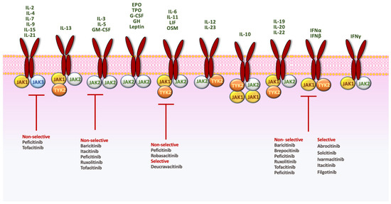 Therapeutic Potential of Targeting the JAK/STAT Pathway in Psoriasis ...