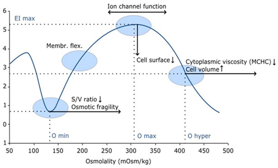 Understanding Rare Anemias: Emerging Frontiers for Diagnosis and Treatment