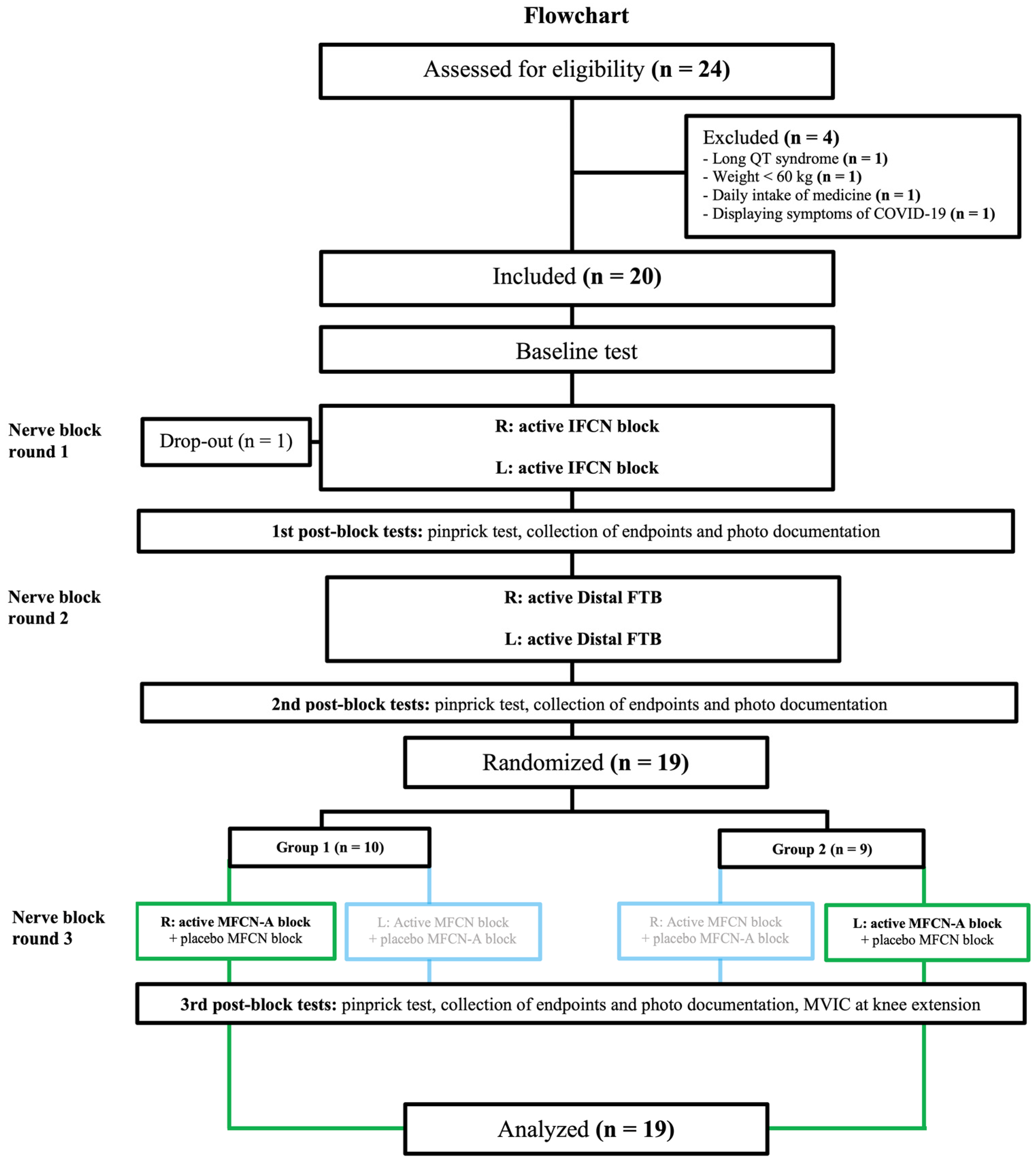 The Anterior Branch of the Medial Femoral Cutaneous Nerve Innervates ...