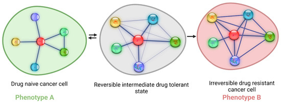 Leveraging Cancer Phenotypic Plasticity for Novel Treatment Strategies