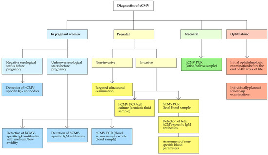 Ophthalmic Complications, Diagnosis, and Treatment of Congenital Human ...