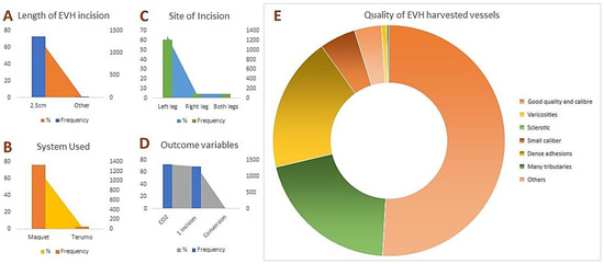 A Comprehensive Clinical Outcome Analysis of Endoscopic Vessel ...