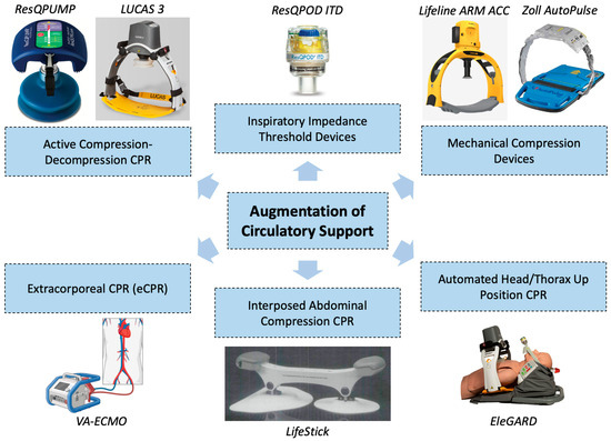 Physiology-Guided Resuscitation: Monitoring and Augmenting Perfusion ...