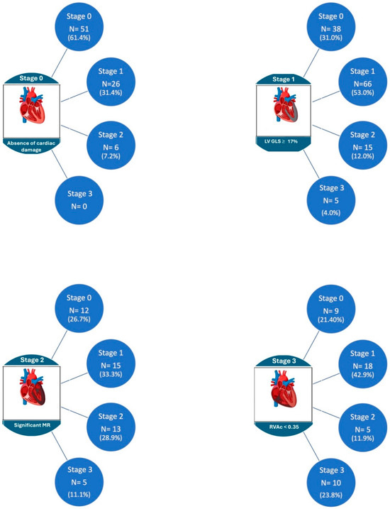 Aortic Stenosis and the Evolution of Cardiac Damage after Transcatheter ...