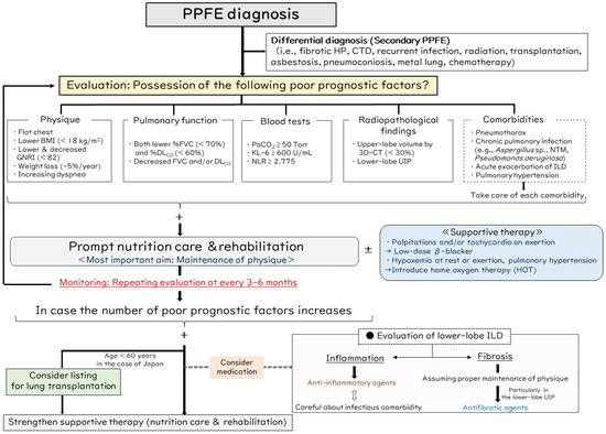 Proposed Clinical Algorithm for Pleuroparenchymal Fibroelastosis (PPFE)