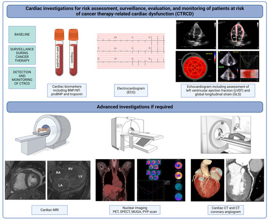 JCM | Free Full-Text | Chemotherapy Related Cardiotoxicity Evaluation—A ...